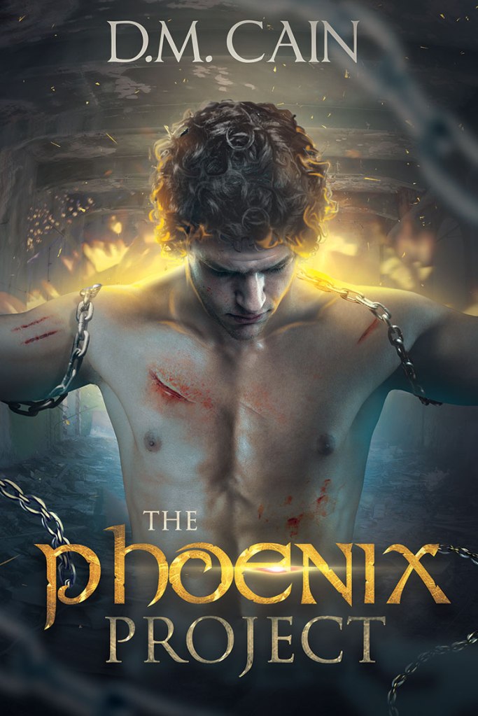 The Phoenix Project Cover Reveal – The Scary Reviews